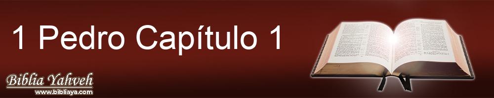 1 PedroCapítulo 1 - Biblia de Oro (Torres Amat)