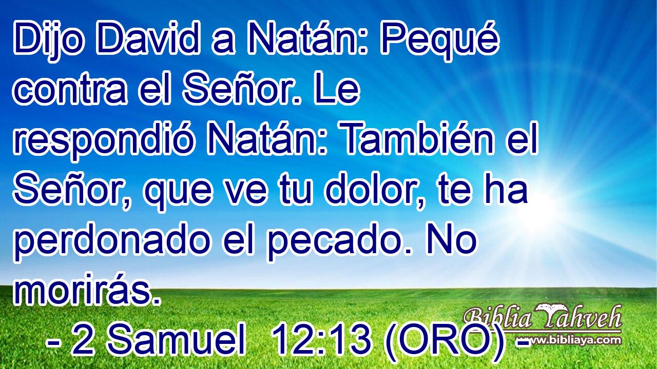 2 Samuel 12:13 (oro) - Dijo David a Natán: Pequé contra el Se...